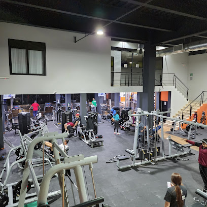 Mega Bandera en Irapuato 🔩